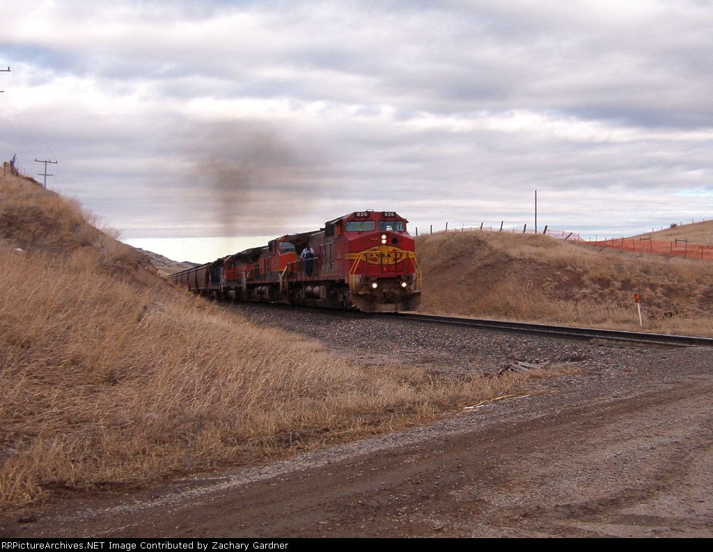 BNSF Grain Train